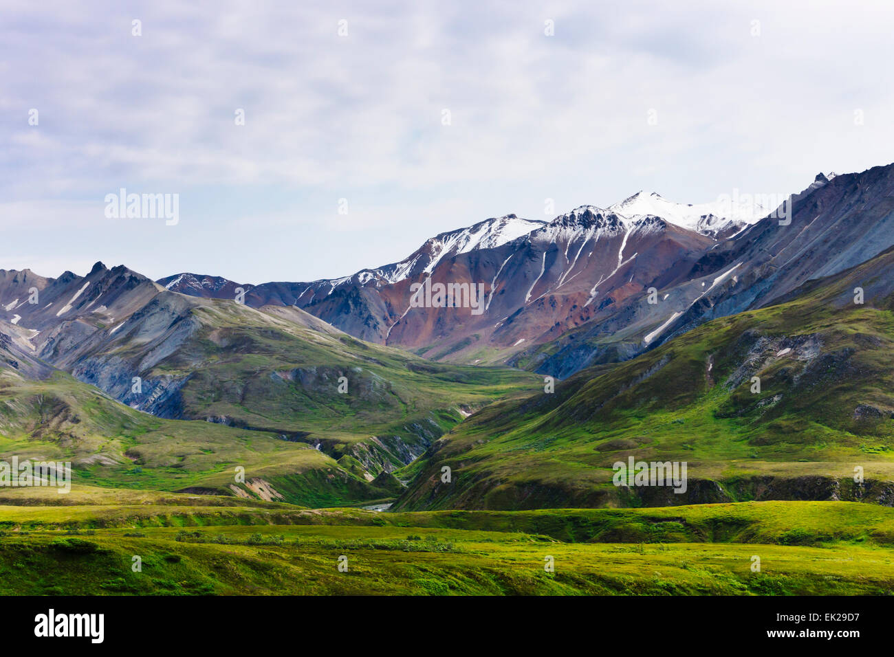 Alaska Range and tundra, Denali National Park, Alaska, USA Stock Photo ...