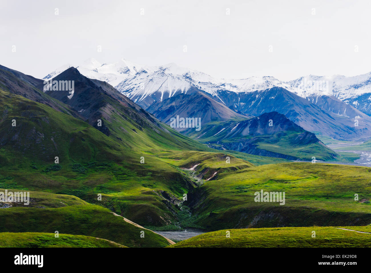 Alaska Range and tundra, Denali National Park, Alaska, USA Stock Photo ...
