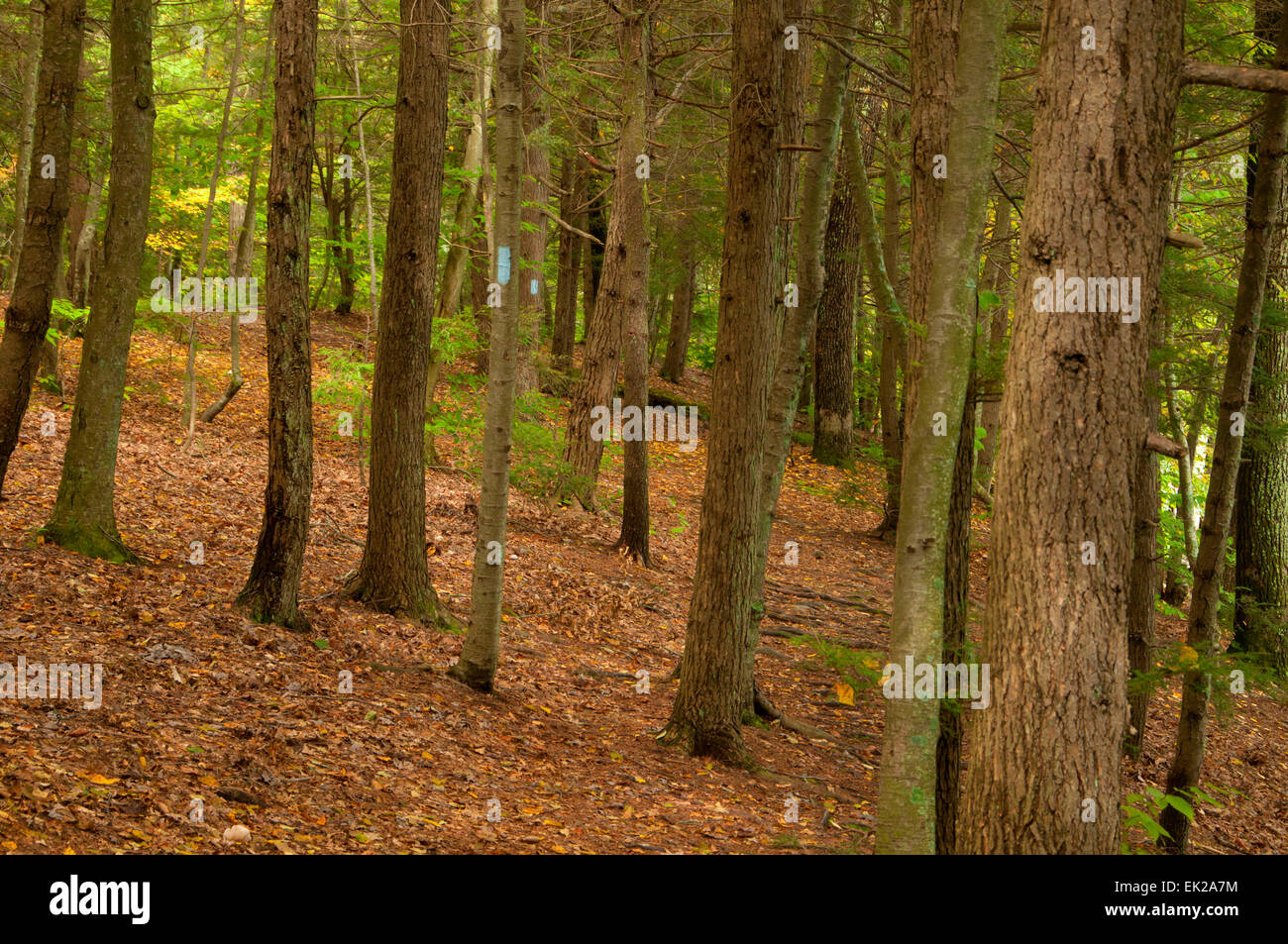 Zoar trail hi-res stock photography and images - Alamy