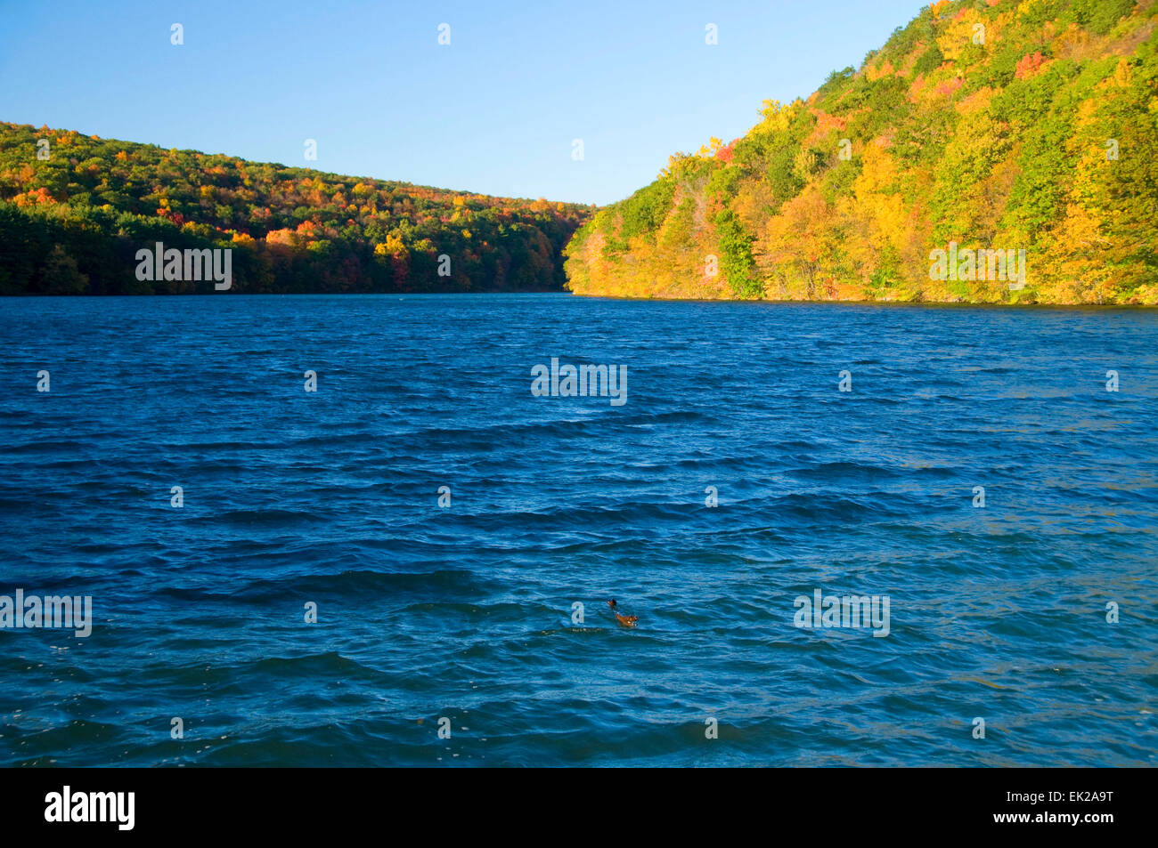Crescent Lake, Giuffrida Park, Meridan, Connecticut Stock Photo - Alamy
