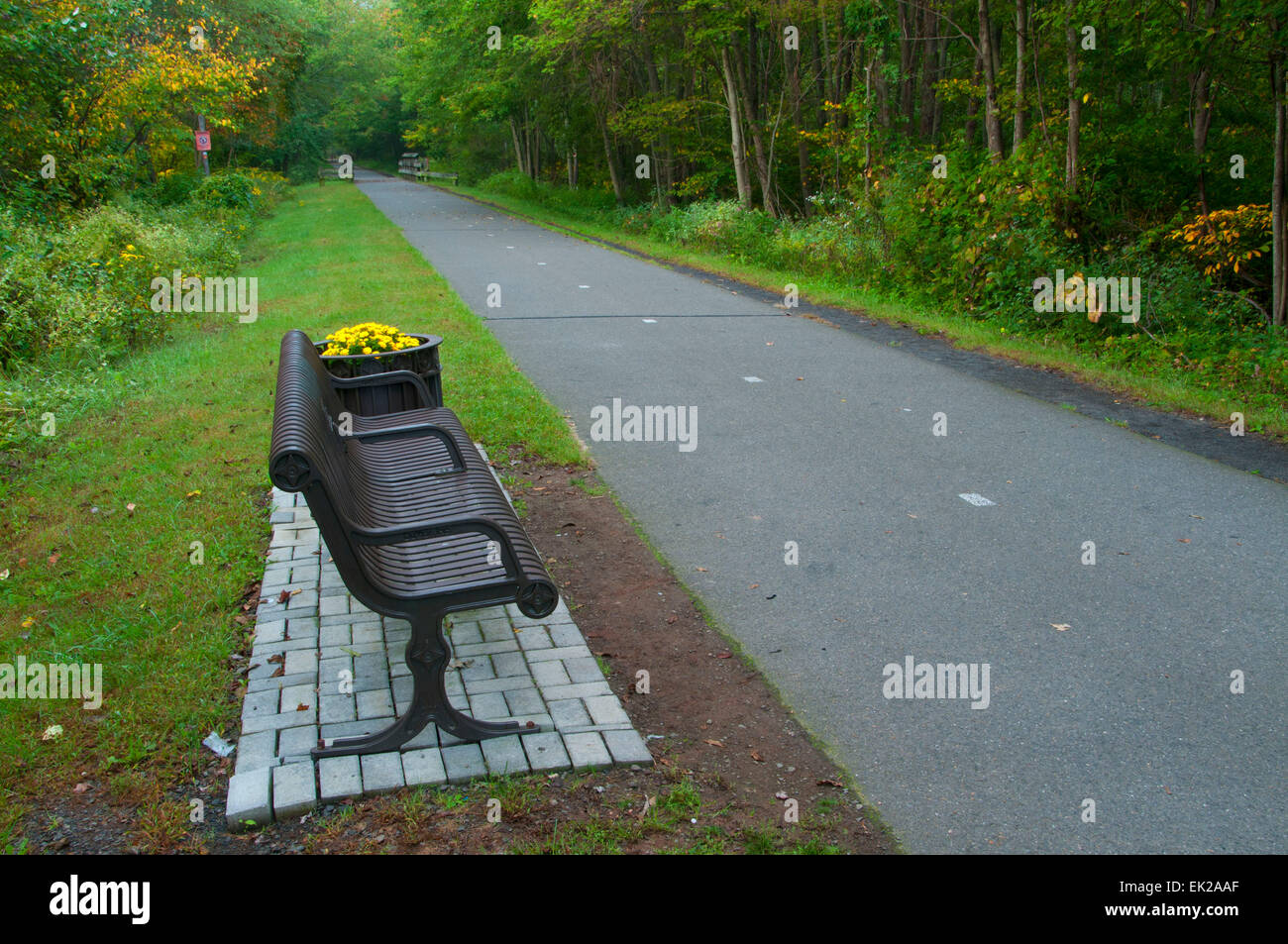 Bench along Farmington Canal Heritage Trail, Farmington Canal Greenway ...