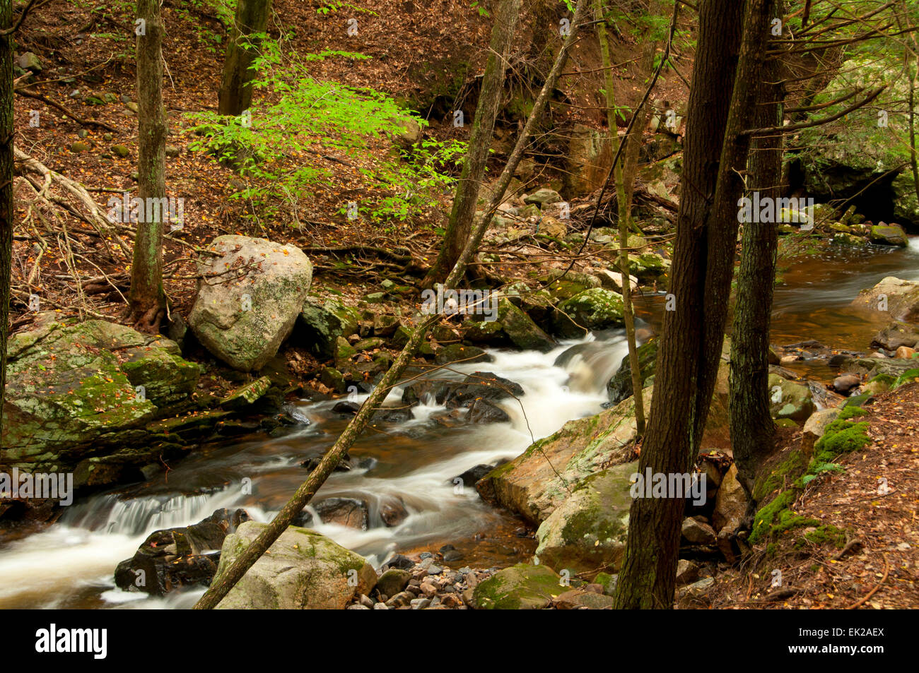 Kettletown Brook, Kettletown State Park, Connecticut Stock Photo - Alamy