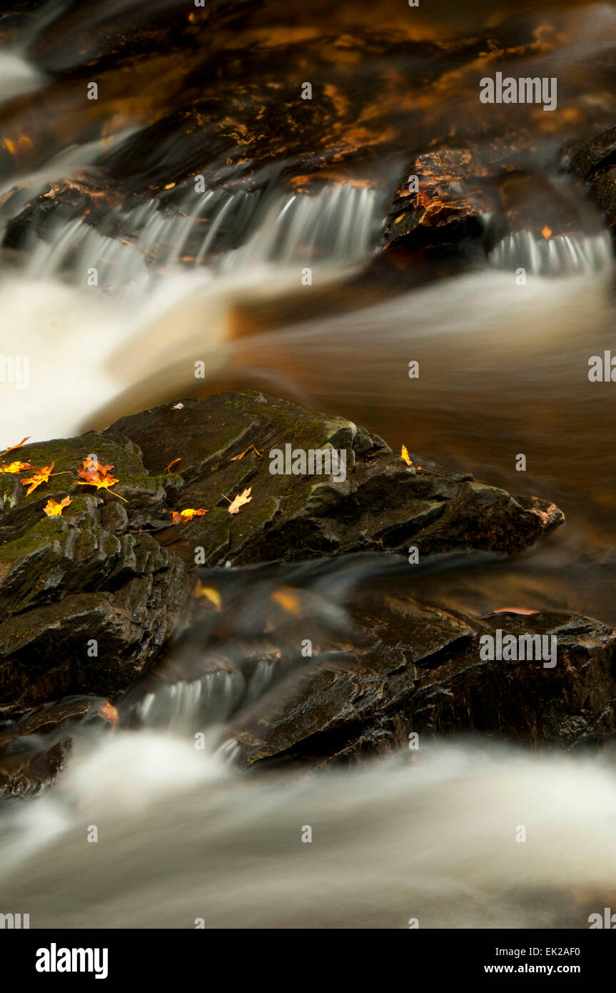 Kettletown Brook, Kettletown State Park, Connecticut Stock Photo - Alamy