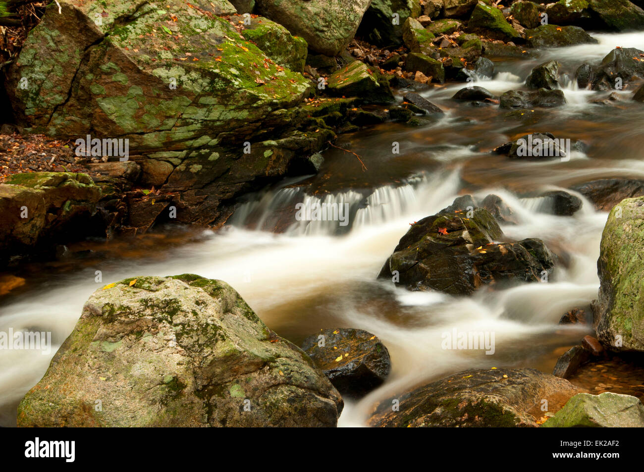 Kettletown Brook, Kettletown State Park, Connecticut Stock Photo - Alamy