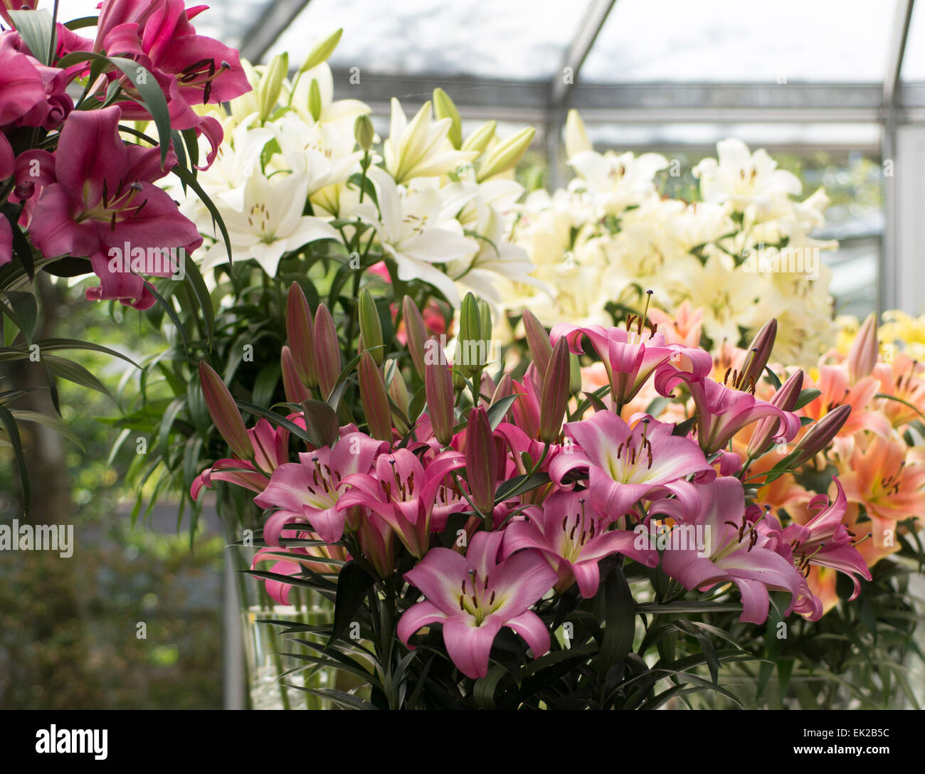 Timezone hi-res stock photography and images - Alamy Timezone hi-res stock photography and images - Alamy