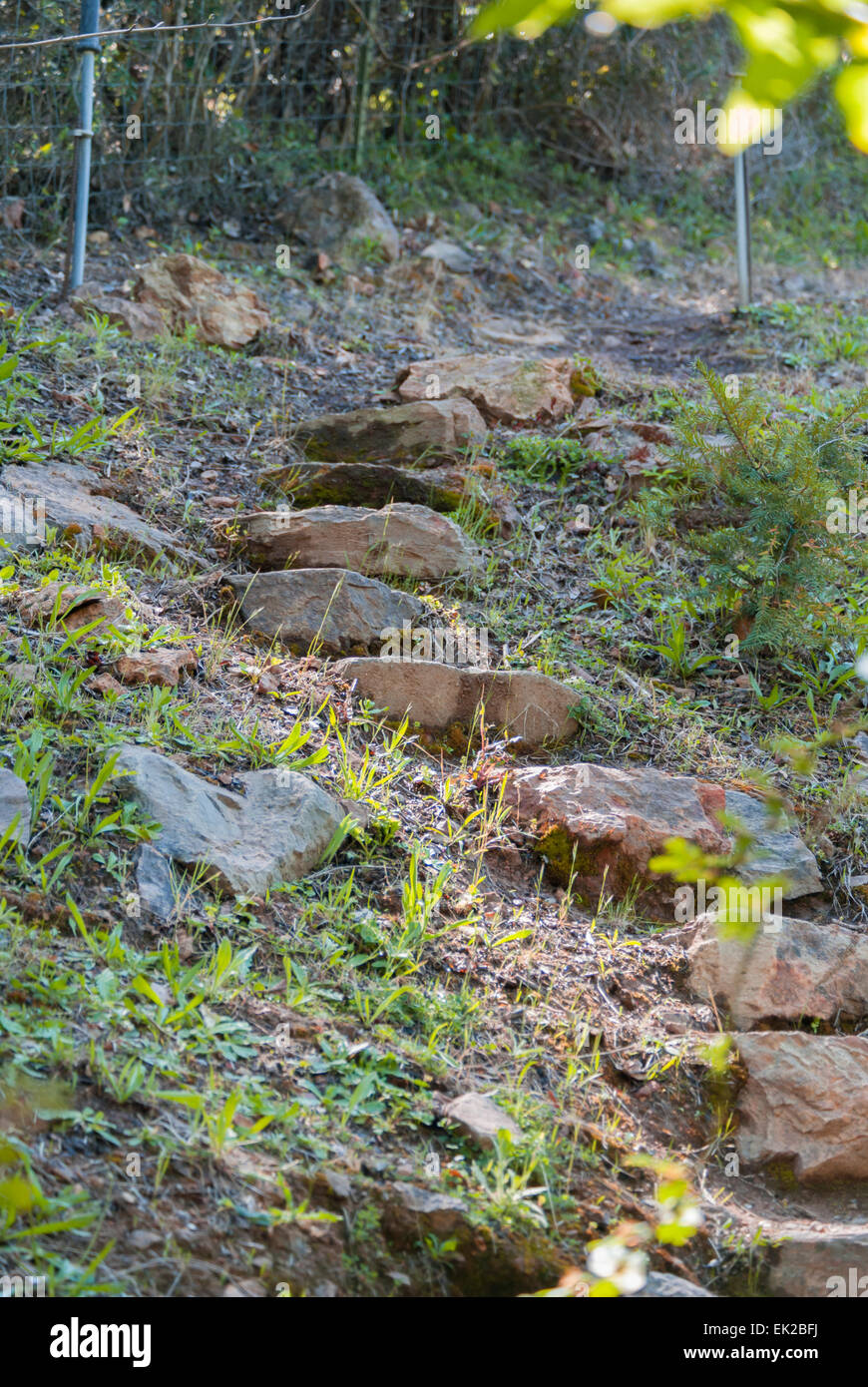natural stone steps on a hill with foliage in the morning sun Stock ...