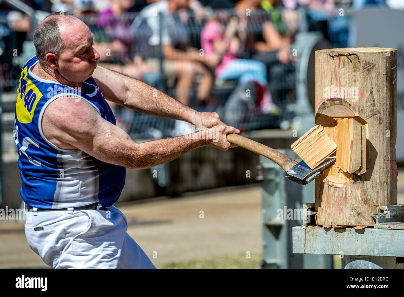 Woodchopping competition hi-res stock photography and images - Alamy