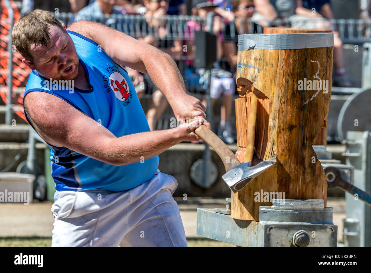 Sydney, Australia. 5th April, 2015. Woodchopping & Sawing competition ...