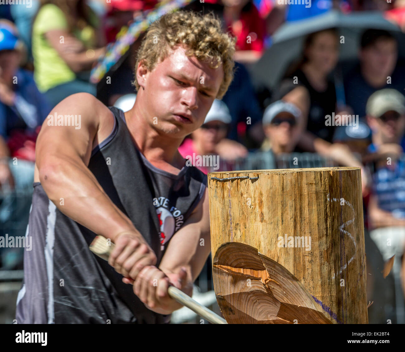 Woodchopping hi-res stock photography and images - Alamy