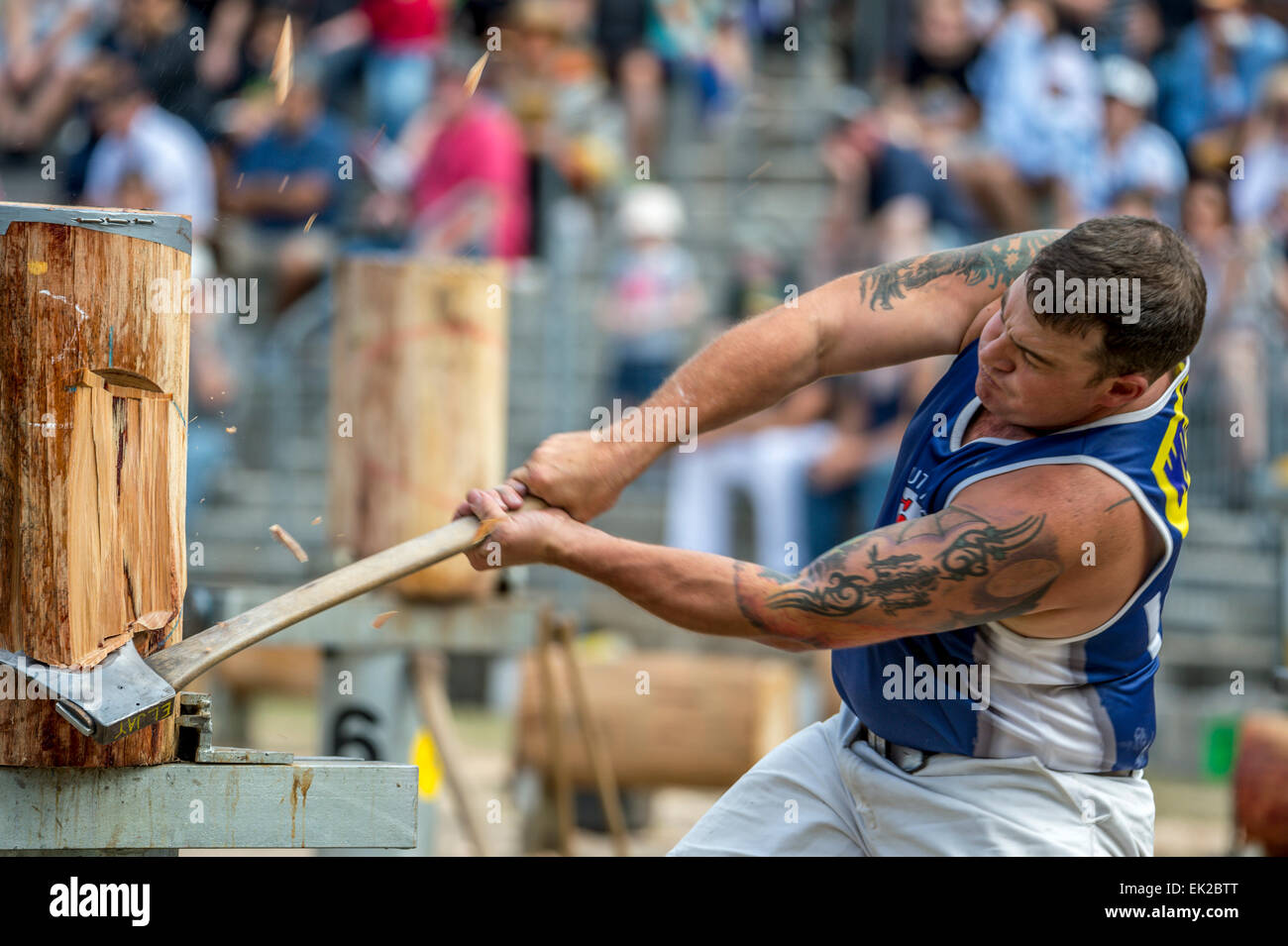 Woodchopping hi-res stock photography and images - Alamy