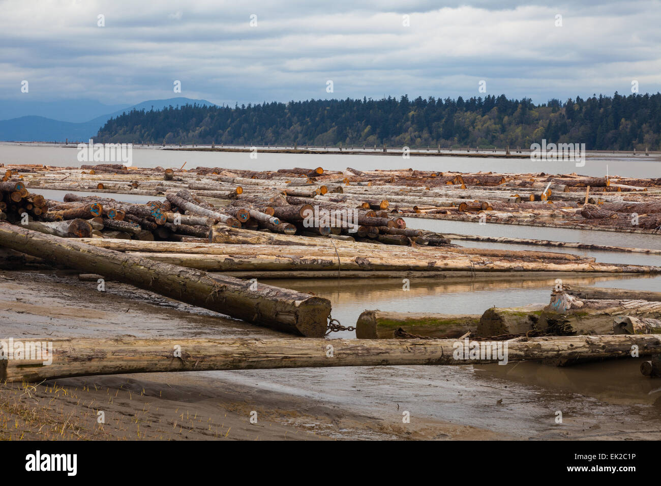 Logging forestry log booms hi-res stock photography and images - Alamy