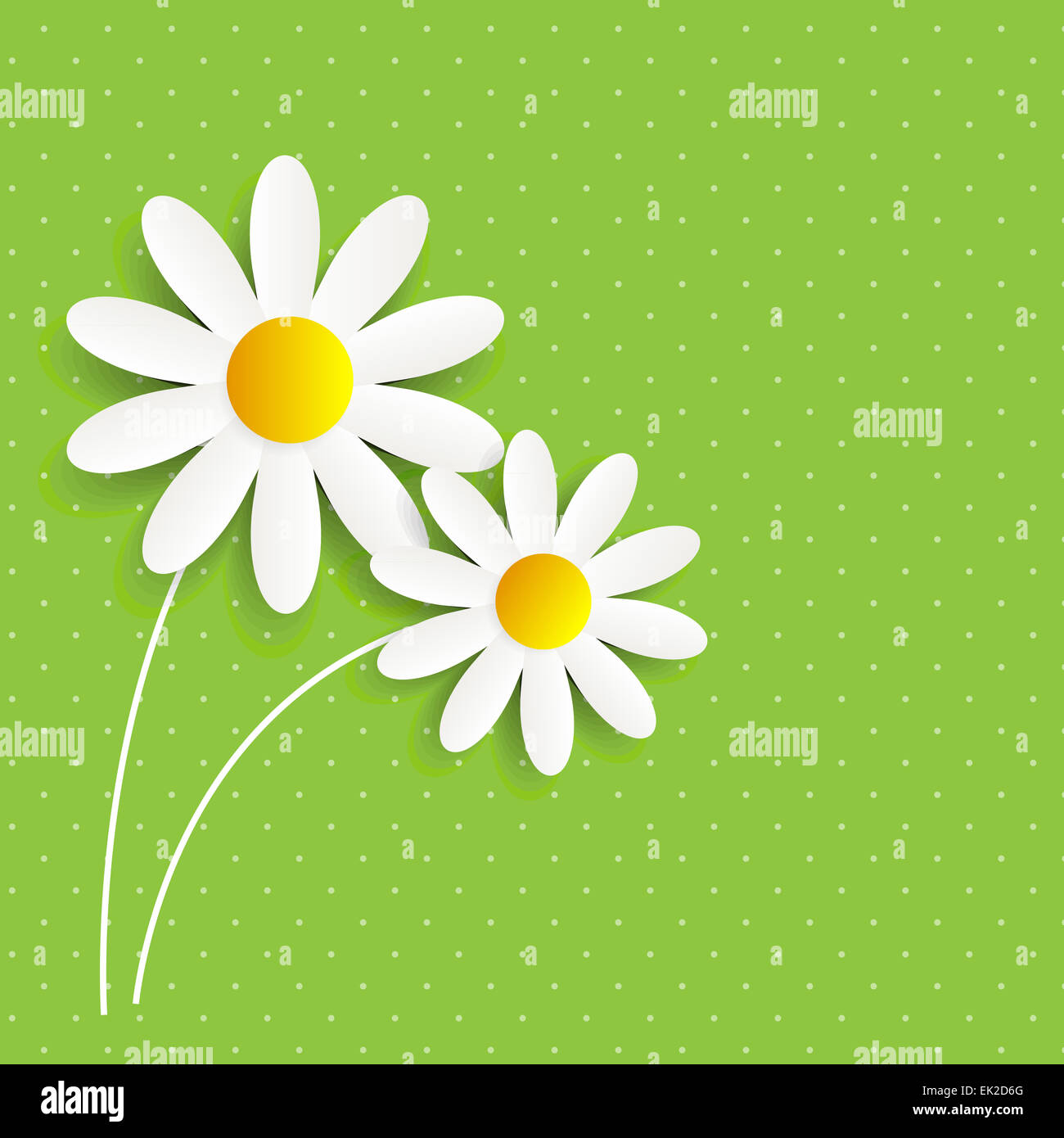 Flora Daisyl Design Vector Illustartion Stock Photo - Alamy