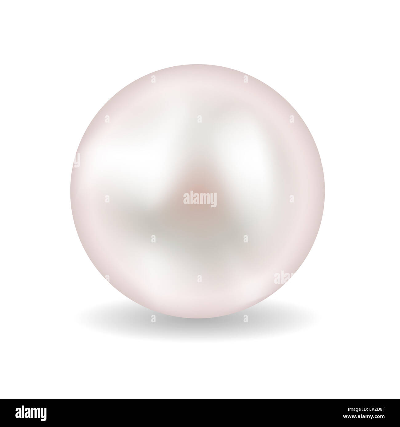 Pearl vector illustration Stock Photo - Alamy