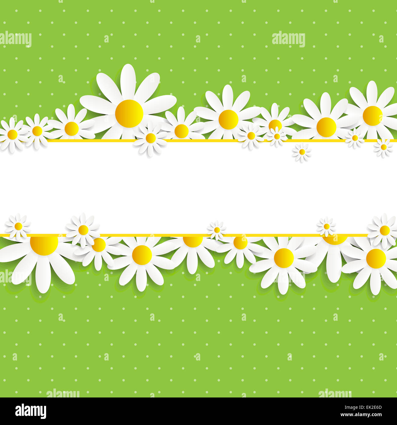Flora Daisyl Design Vector Illustartion Stock Photo - Alamy