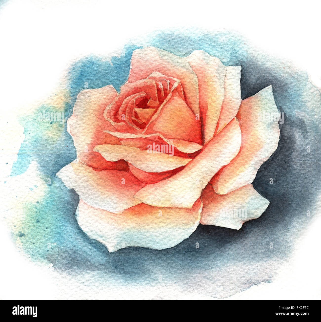 Watercolor rose hi-res stock photography and images - Alamy
