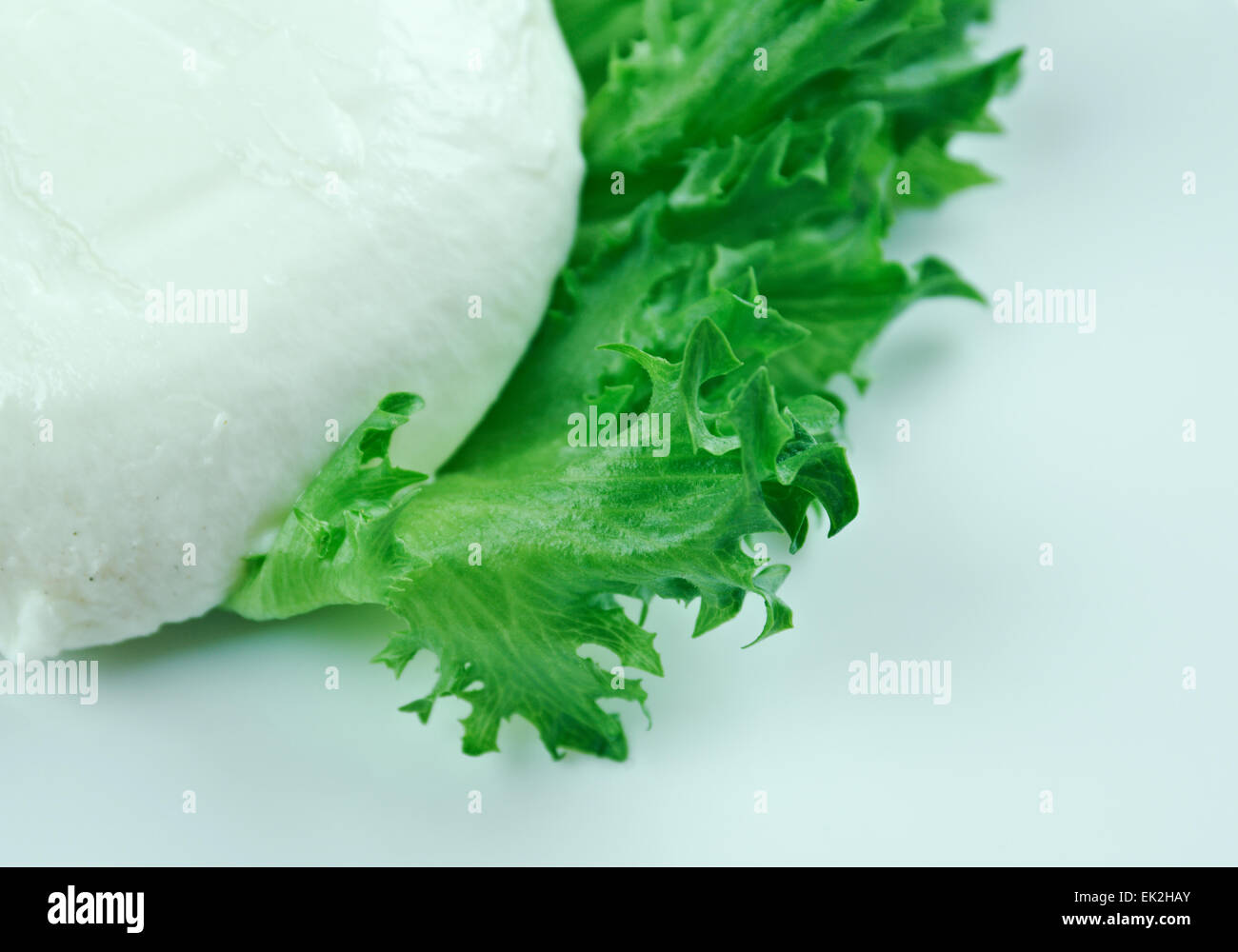 lettuce and greek feta cheese. close up Stock Photo - Alamy