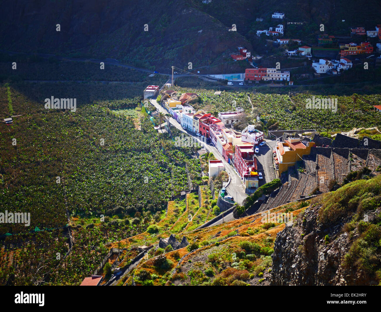 Hermigua village Banana plantation La Gomera island Canary islands Spain Stock Photo - Alamy