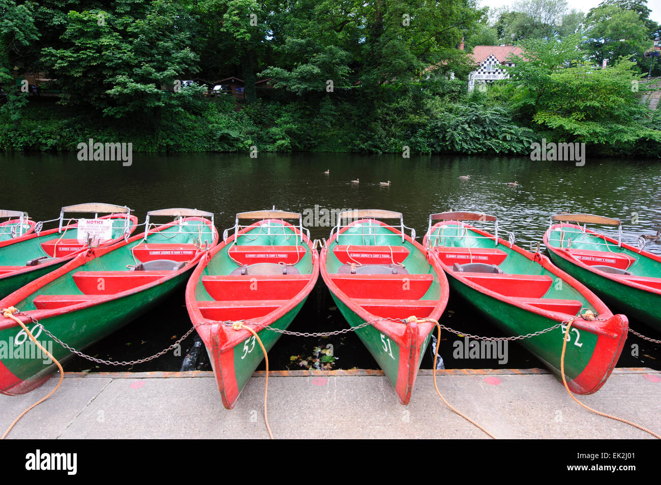 Rowing boats lined up on the River Nidd at Knaresborough in Yorkshire ...