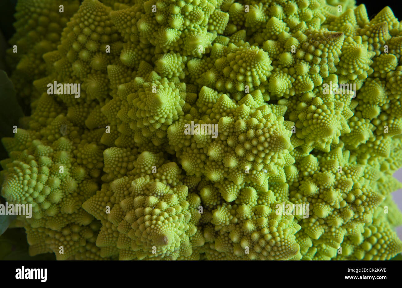 Some fresh romanesque variety cauliflower buds Stock Photo - Alamy