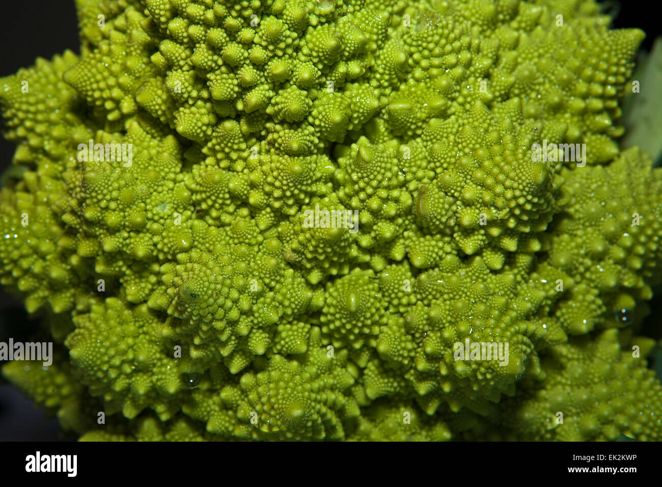 Some fresh romanesque variety cauliflower buds Stock Photo - Alamy