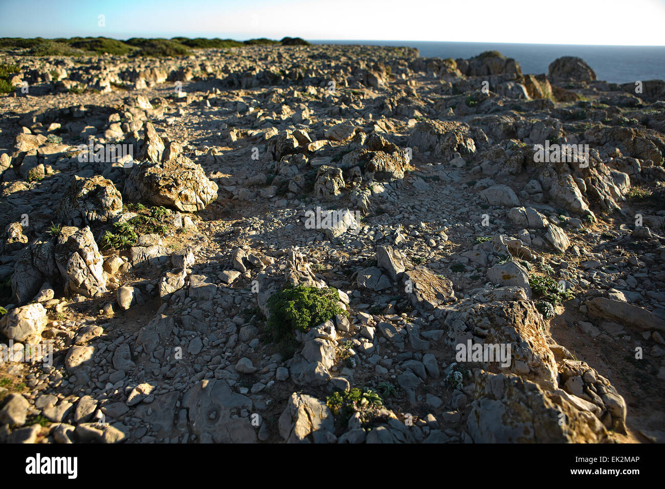 Stony ground of a cliff at Cape St. Vicent, Portugal Stock Photo - Alamy