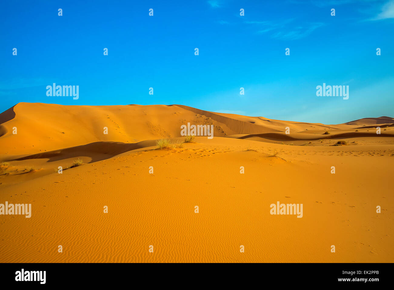 Sand dunes in the Sahara desert Stock Photo - Alamy