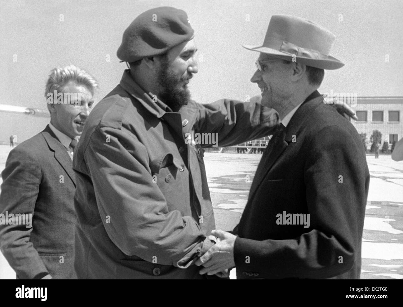 Suslov Stock Photos & Suslov Stock Images - Alamy