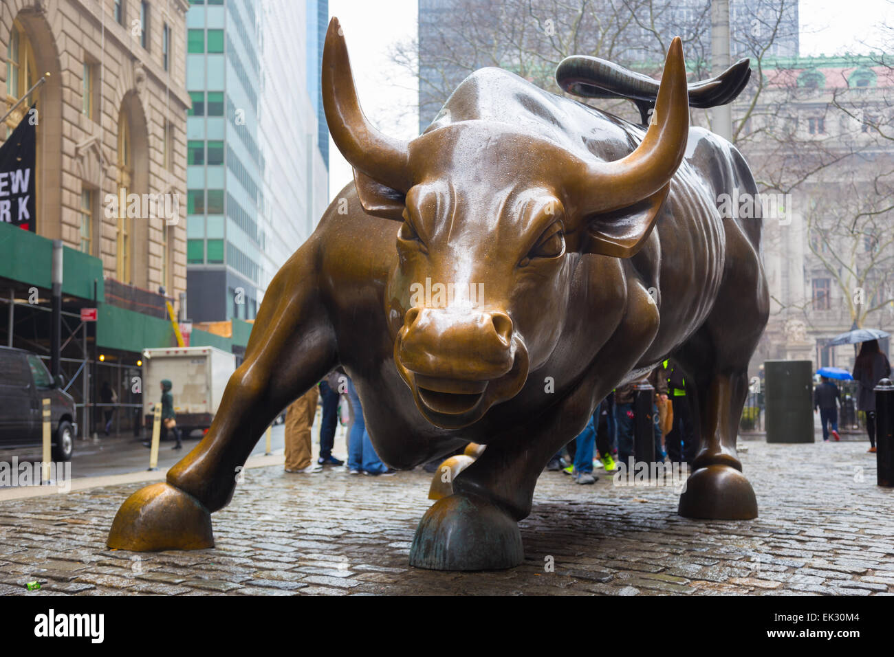 Charging Bull in Lower Manhattan, NY Stock Photo - Alamy