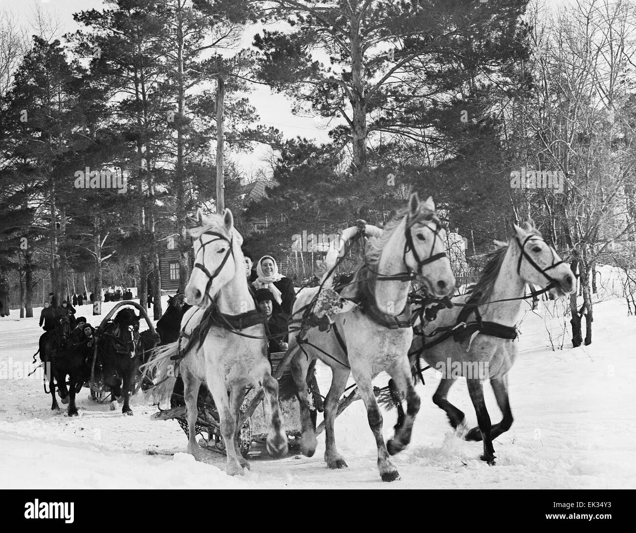 Russian Troika High Resolution Stock Photography and Images - Alamy