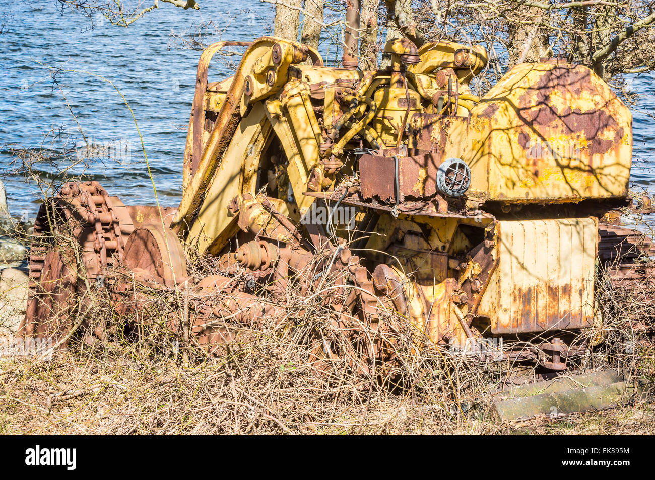 Abandoned and weathered yellow bulldozer crawler. Nature is trying to ...