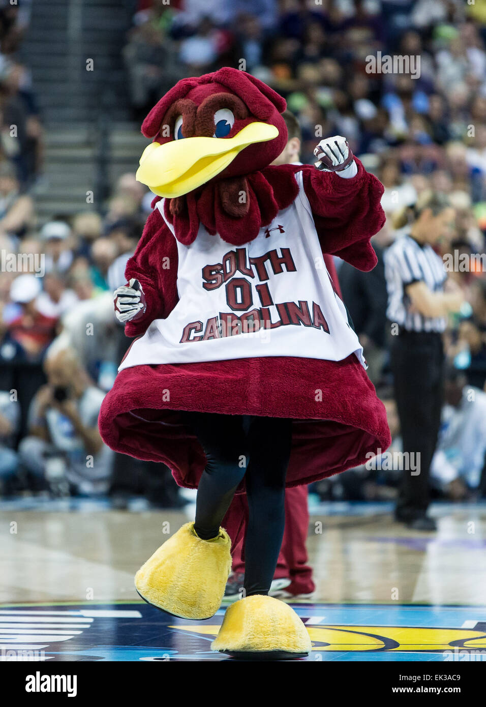 Mascot cocky hi-res stock photography and images - Alamy