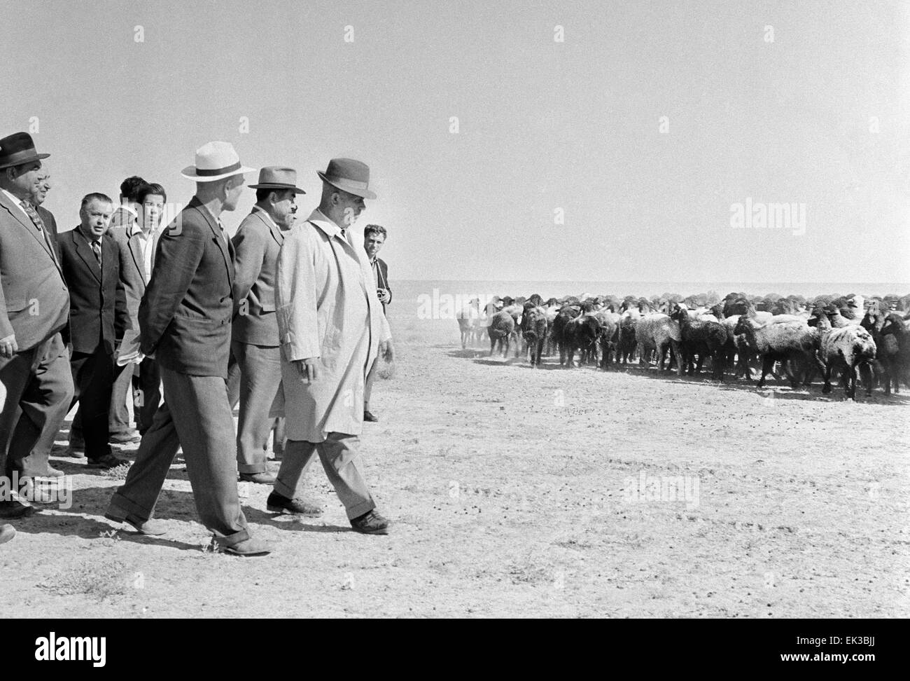 Collective Farms High Resolution Stock Photography and Images - Alamy