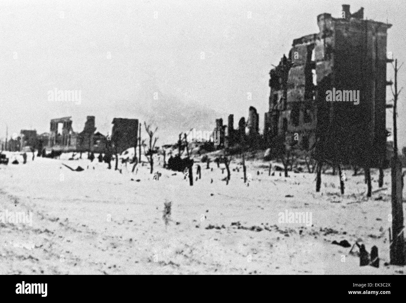 Stalingrad 1943 High Resolution Stock Photography and Images - Alamy