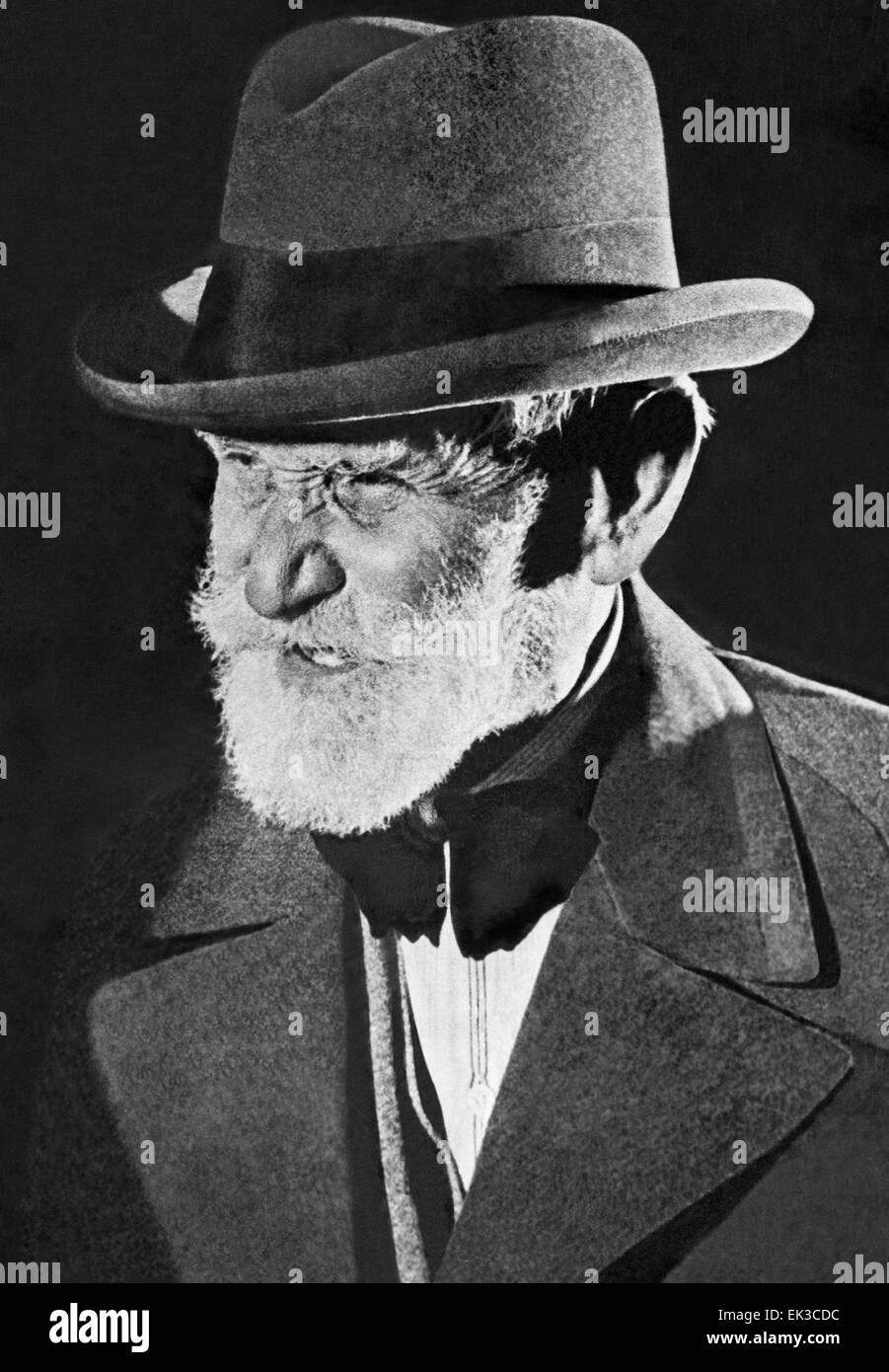 Russian Physiologist Stock Photos & Russian Physiologist Stock Images ...