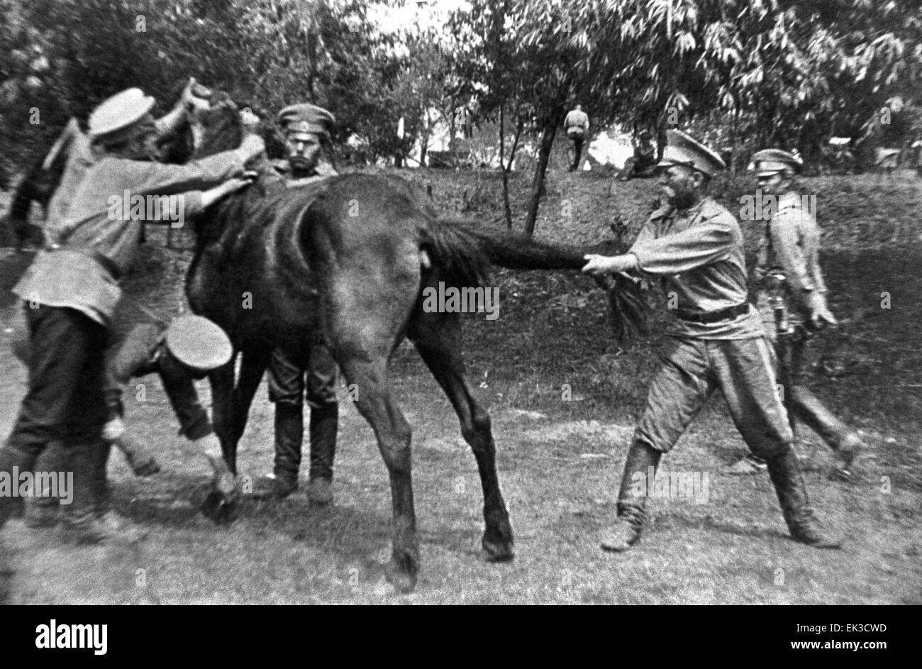 Orenburg Cossacks High Resolution Stock Photography and Images - Alamy