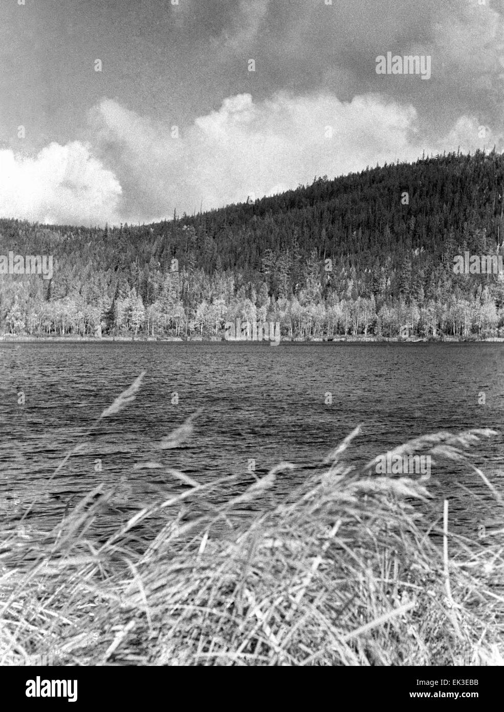 Tunguska Meteorite High Resolution Stock Photography and Images - Alamy