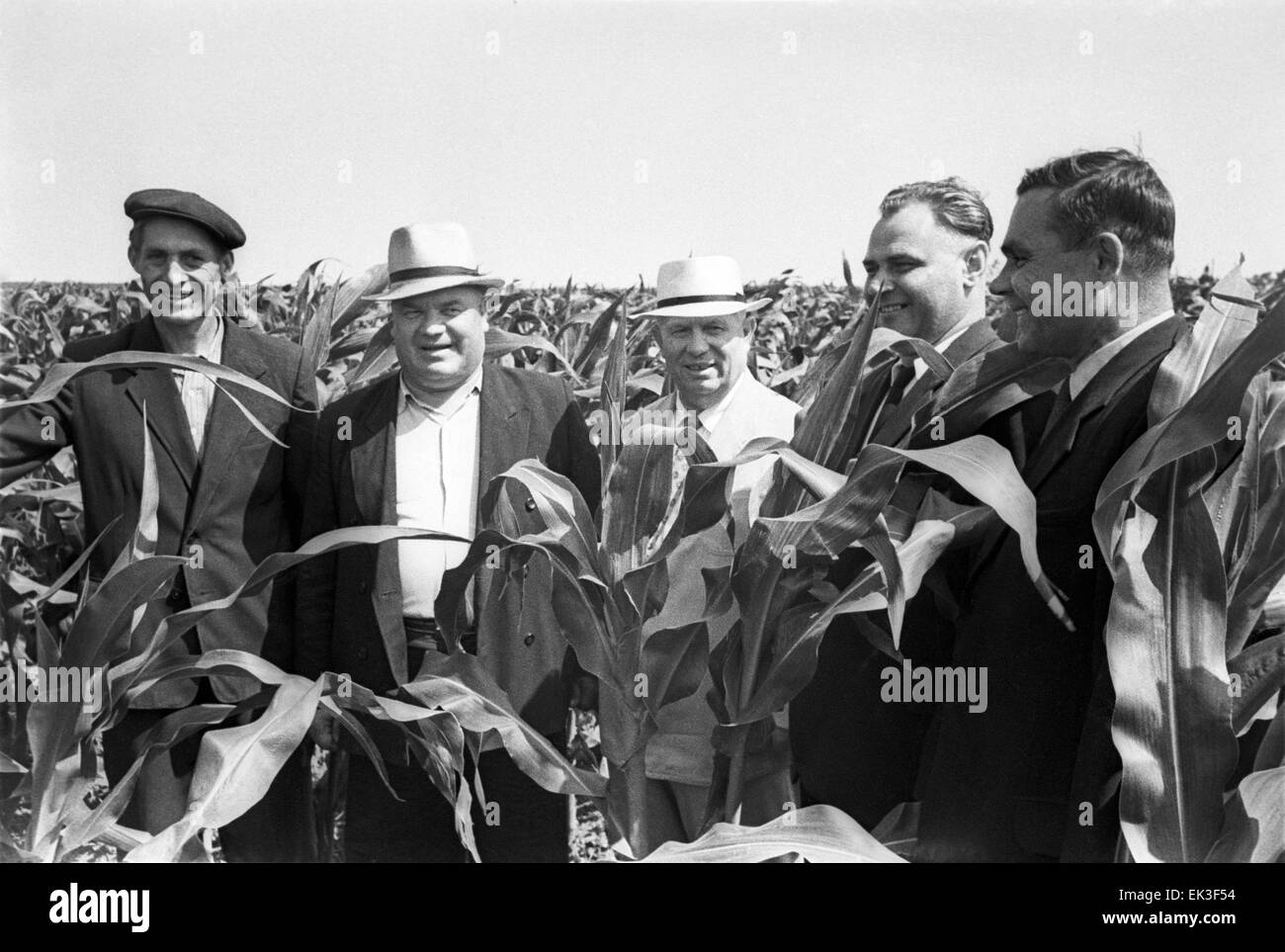 Collective Farm Soviet Union High Resolution Stock Photography and ...