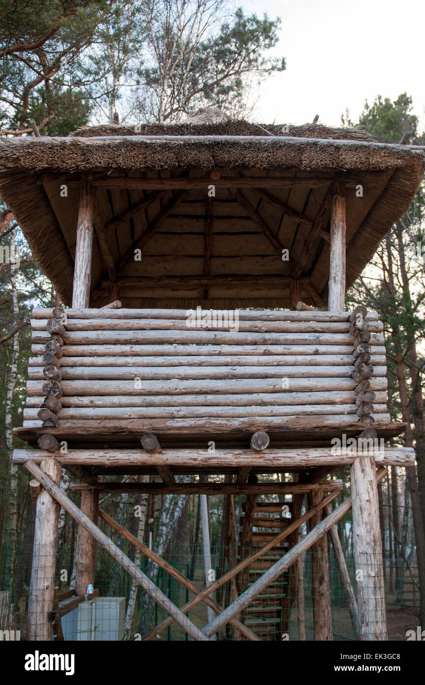 Wooden observation tower in the forest. Spring season. National Park ...