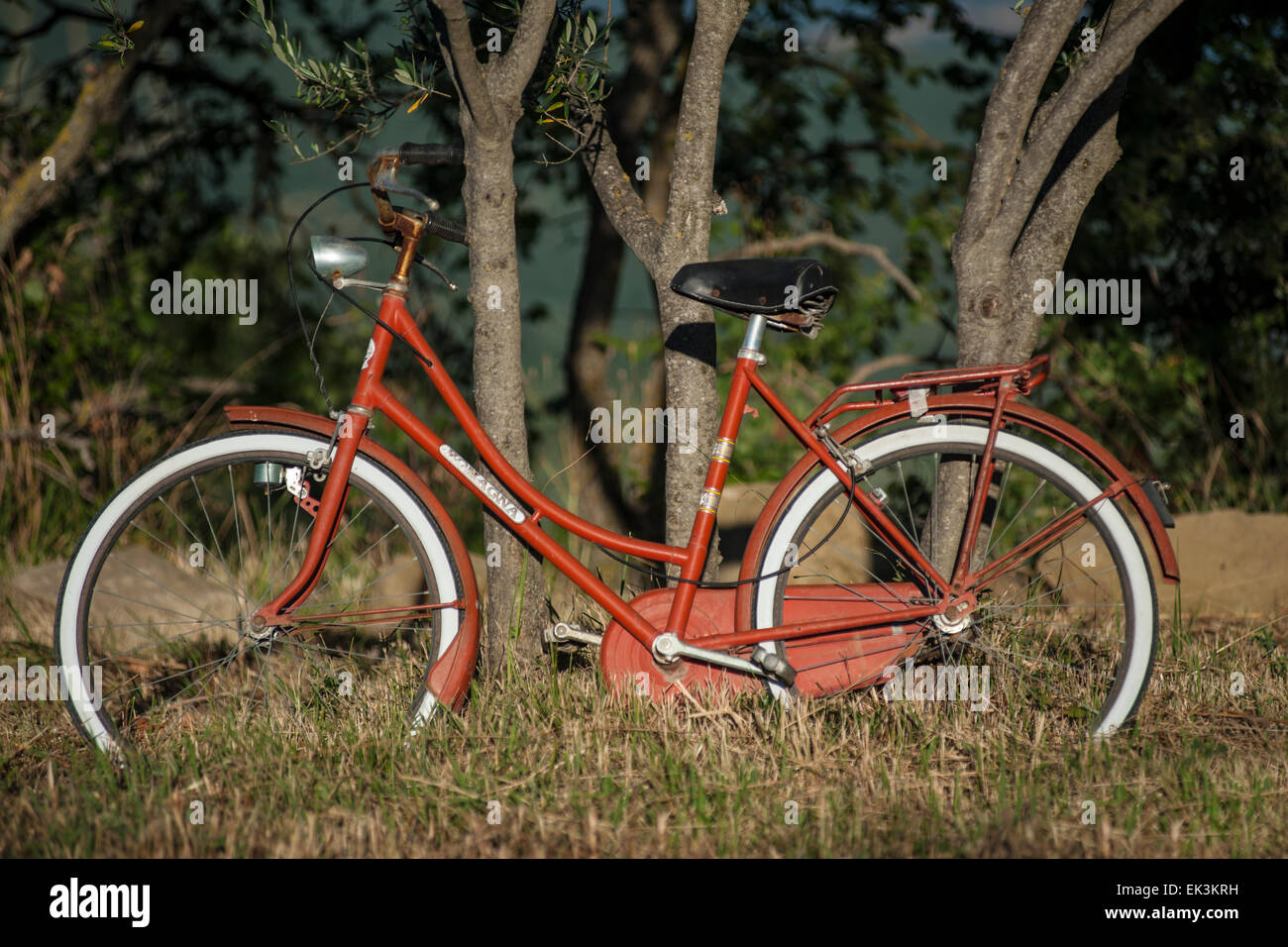 A red bicycle parked under an olive tree Stock Photo - Alamy