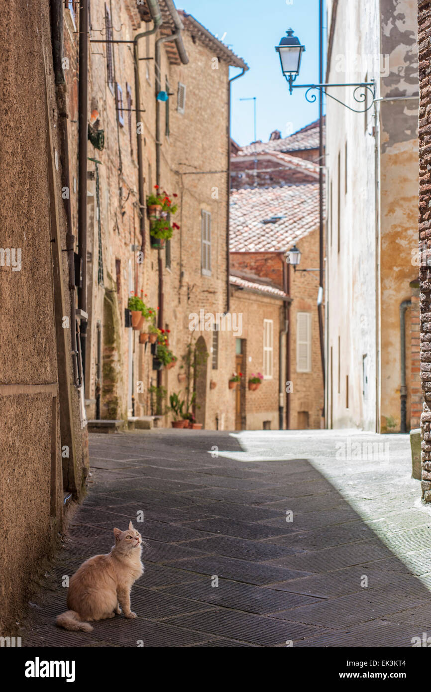 An Italian town scene Stock Photo - Alamy