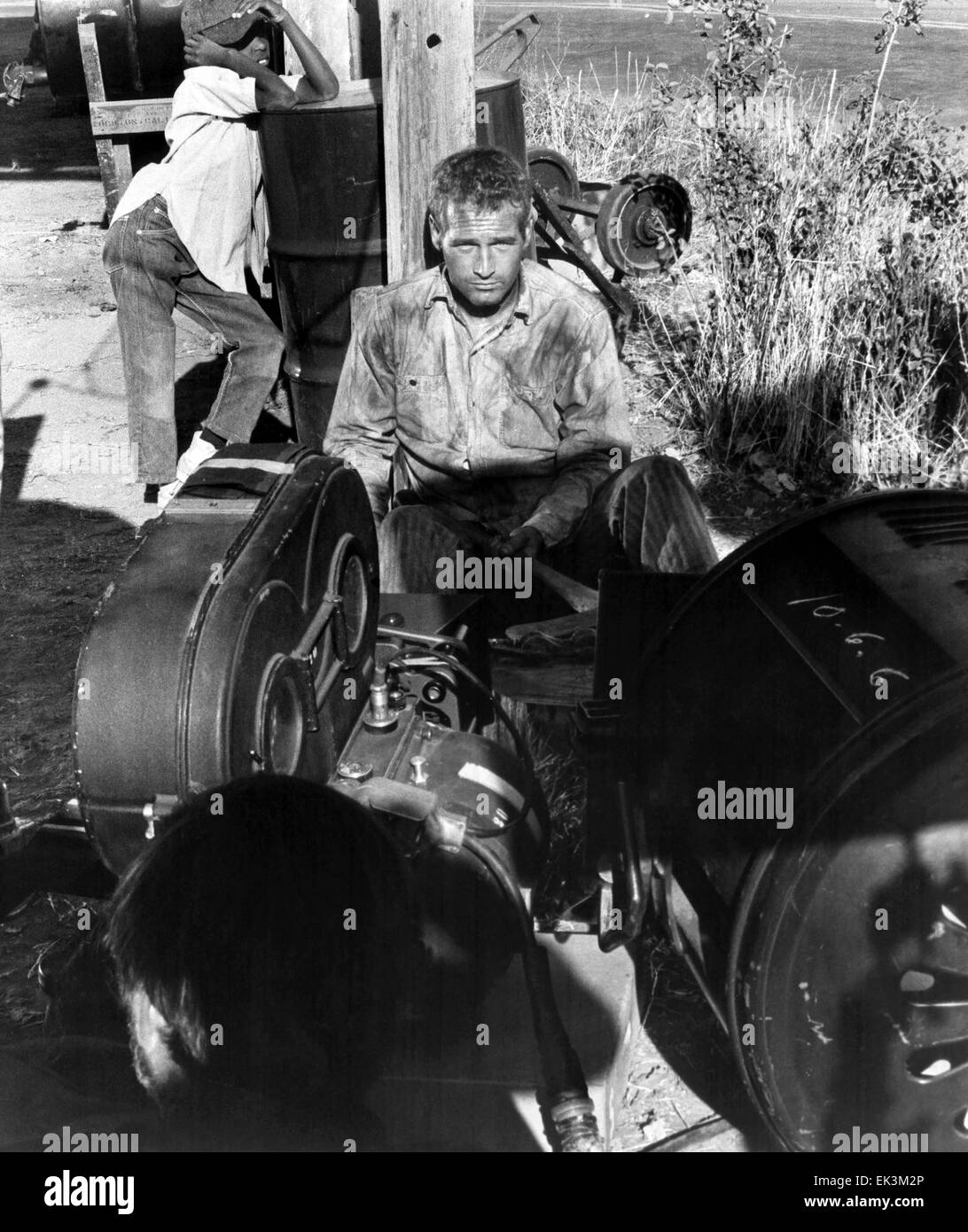 Paul Newman, on-set of the Film "Cool Hand Luke", 1967 Stock Photo - Alamy