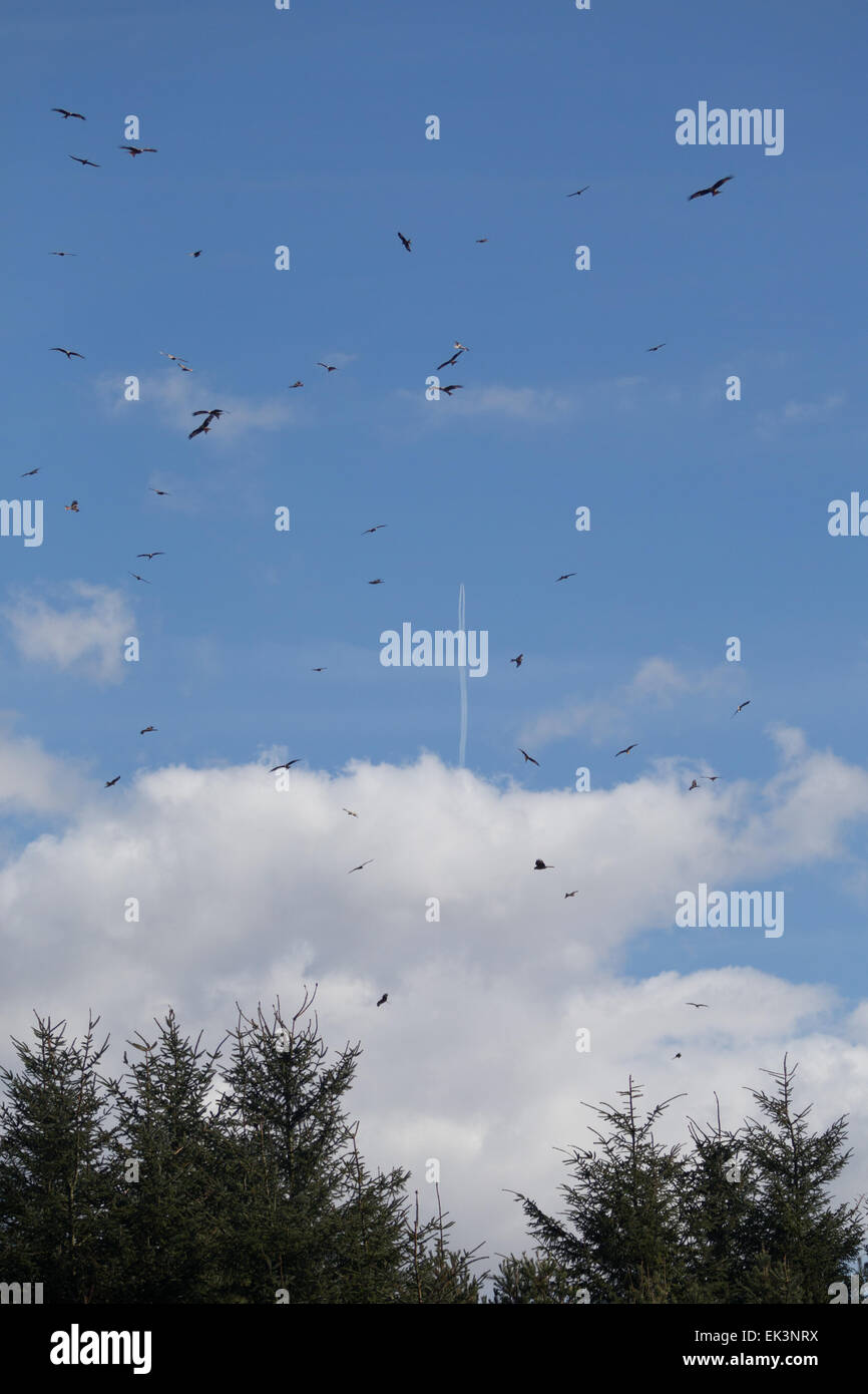 Swirling kites hi-res stock photography and images - Alamy