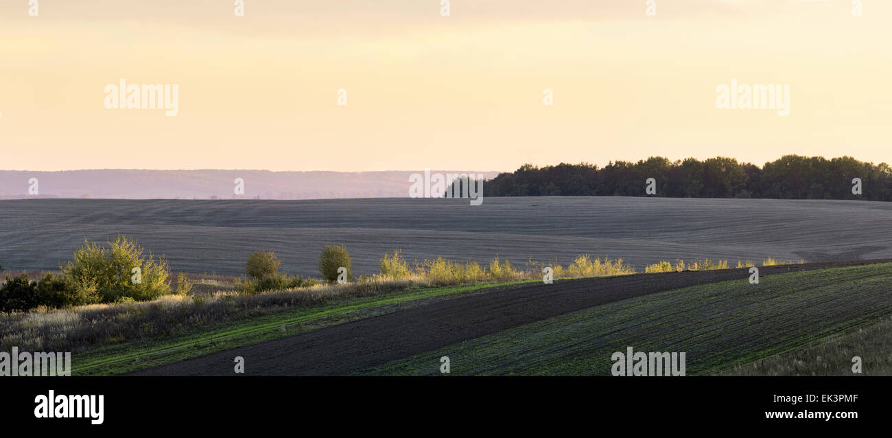 Autumn evening in the farmland Stock Photo - Alamy