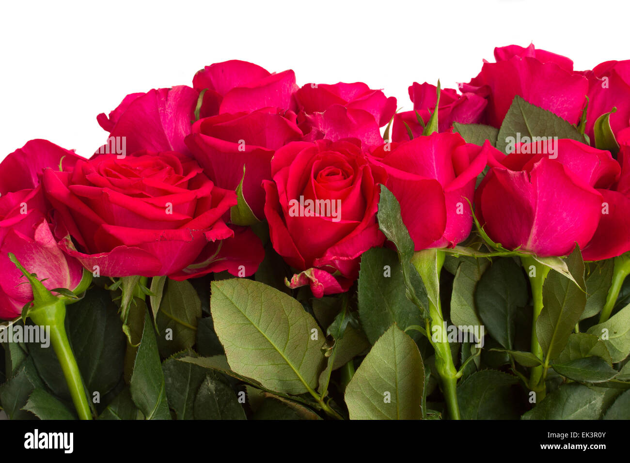 bouquet of dark pink roses close up Stock Photo - Alamy