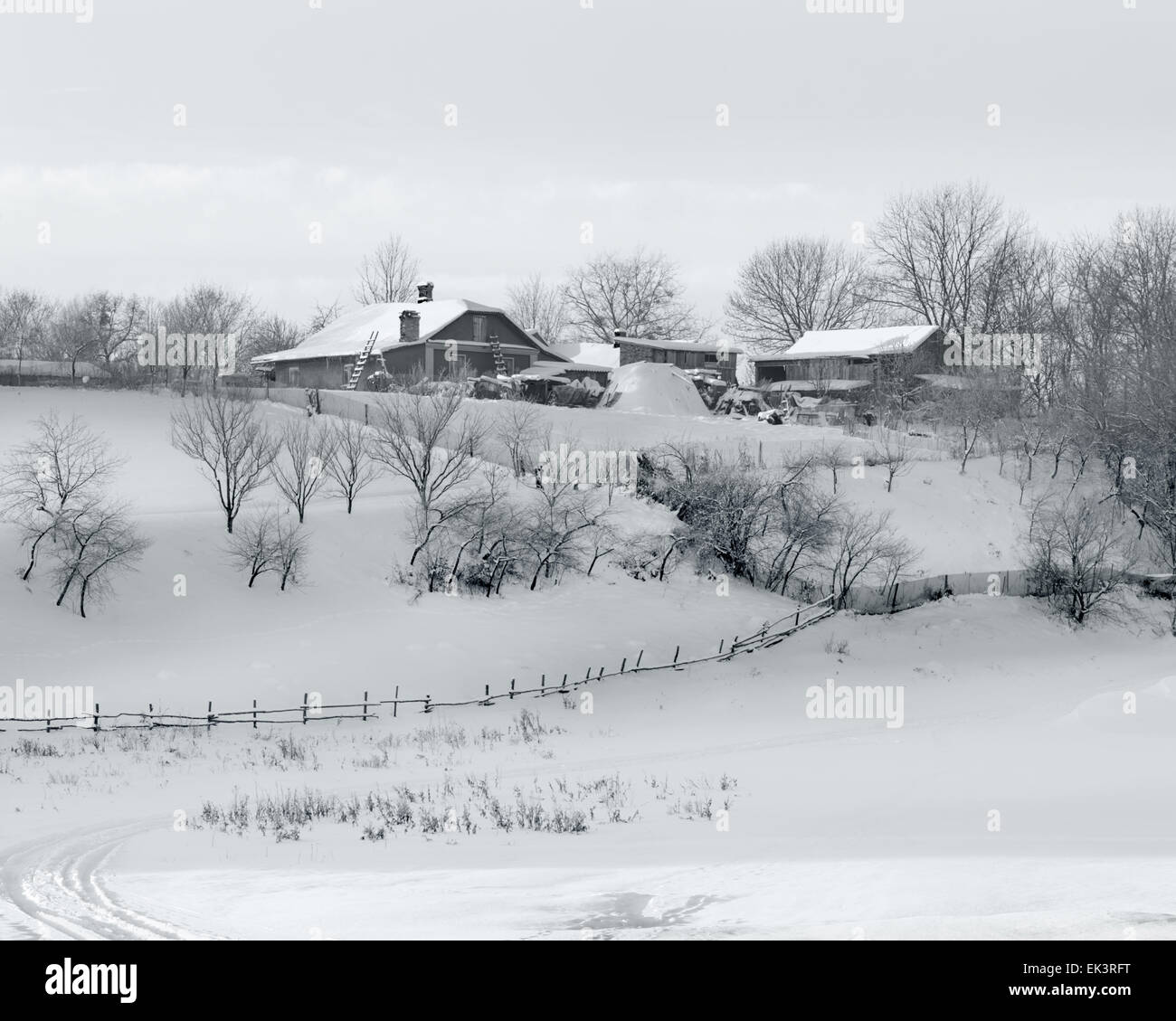 Rural farm in a frosty morning Stock Photo - Alamy