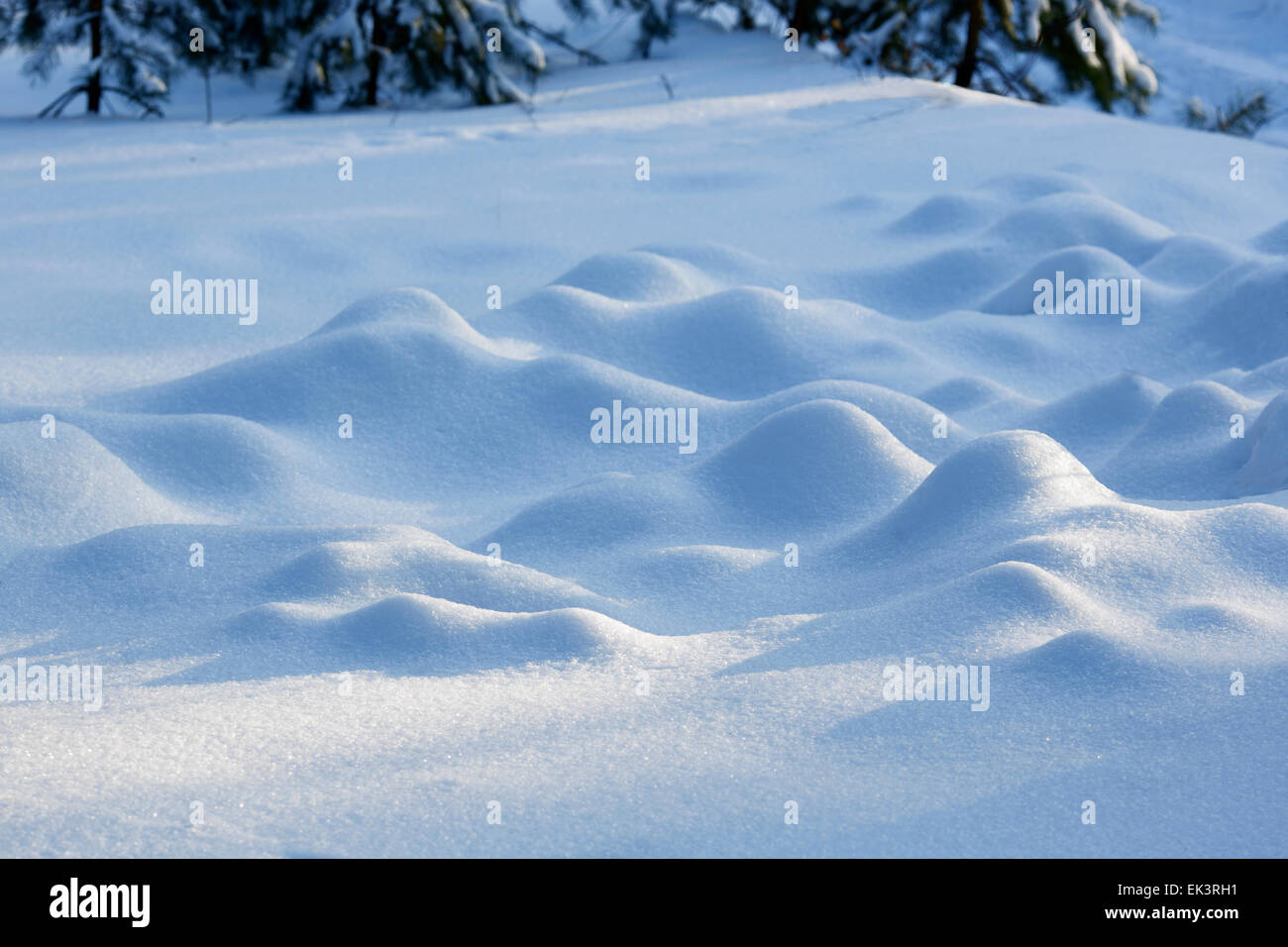 Snow hill in the forest Stock Photo - Alamy