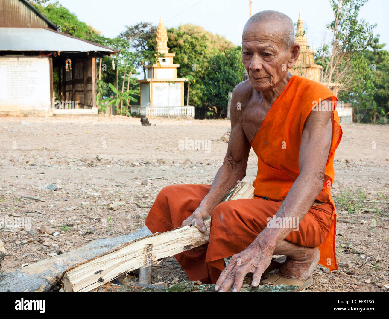 Buddhist monk cutting wood trunk in Kep pagoda, Cambodia Stock Photo ...