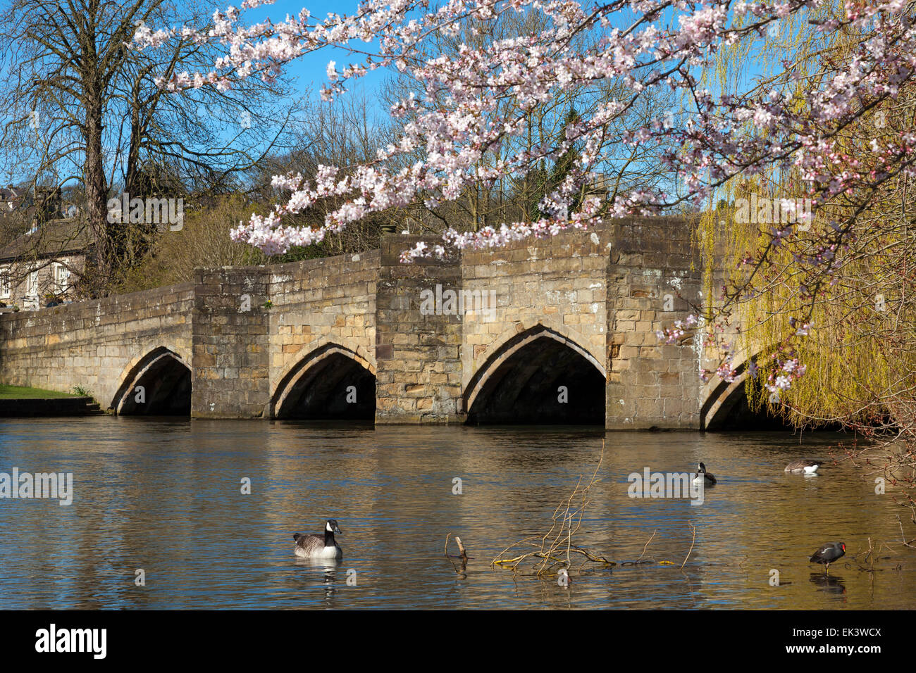 Bakewell, Derbyshire, UK. 6th April, 2015. UK Weather: Warm spring ...