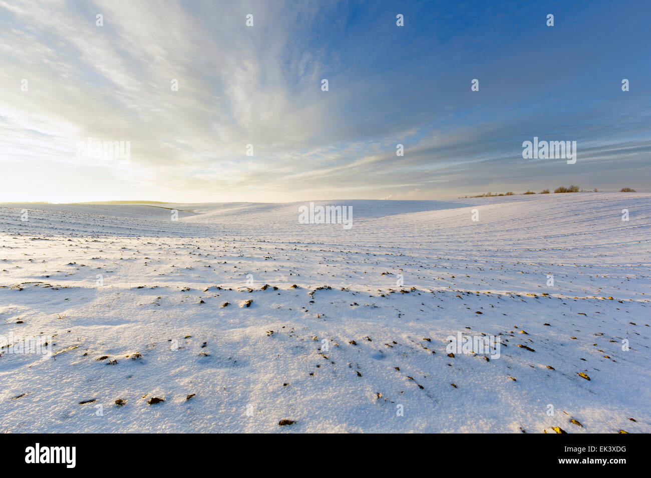 Agricultural field at the winter wind evening Stock Photo - Alamy