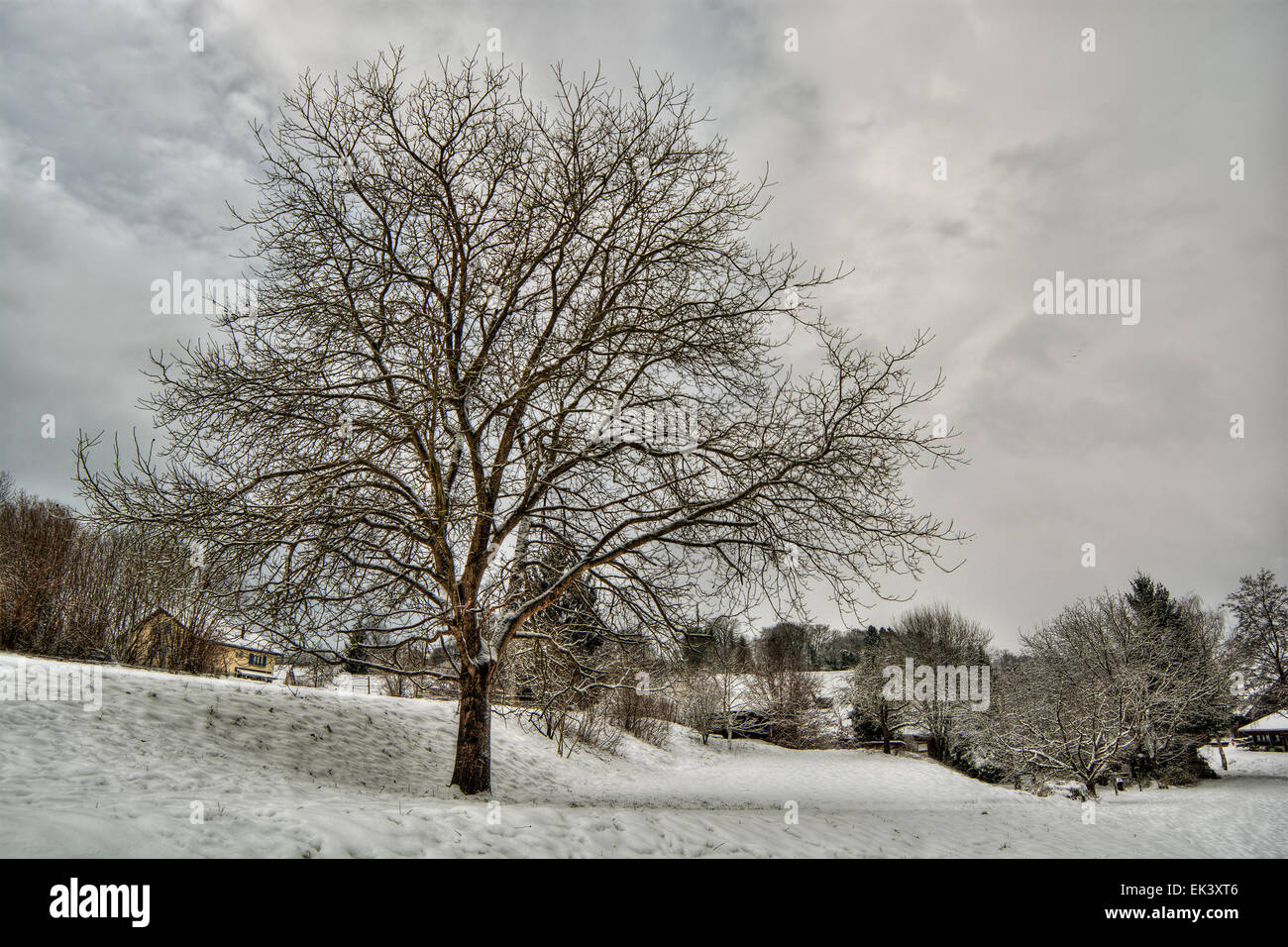 Lonely landscape lonely winter landscape hi-res stock photography and ...